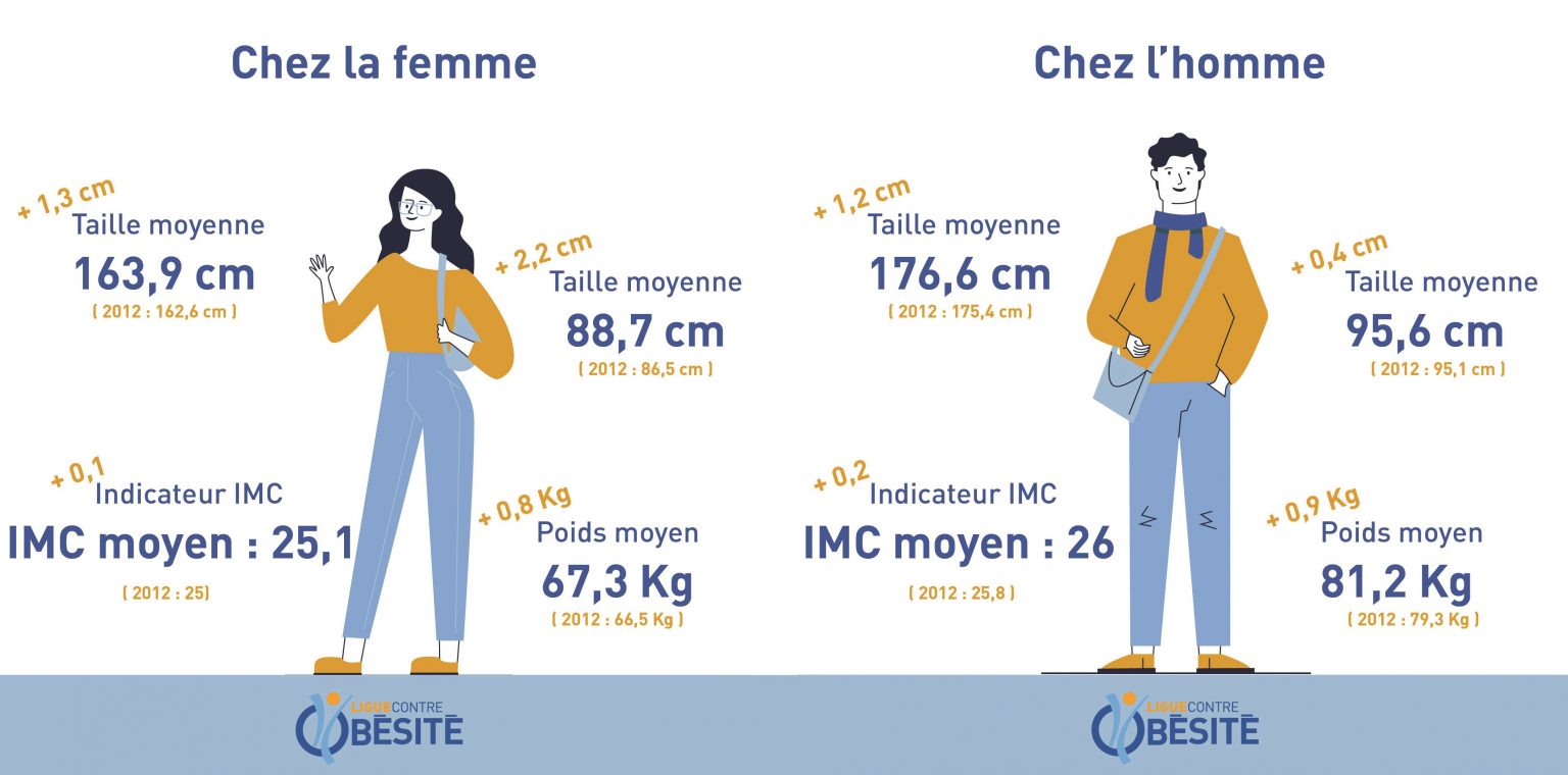 Taille, poids et tour de taille : photographie 2020 des Français ...